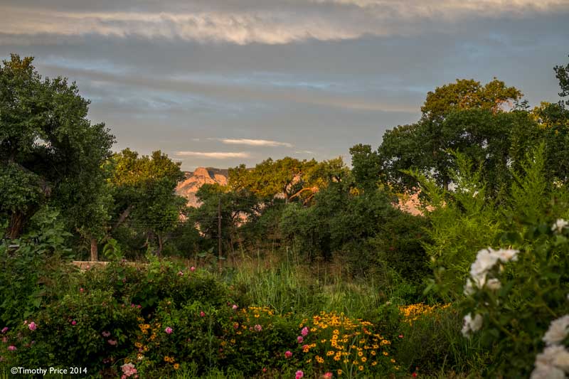 Midsummer Light Scenes – Off Center & Not Even