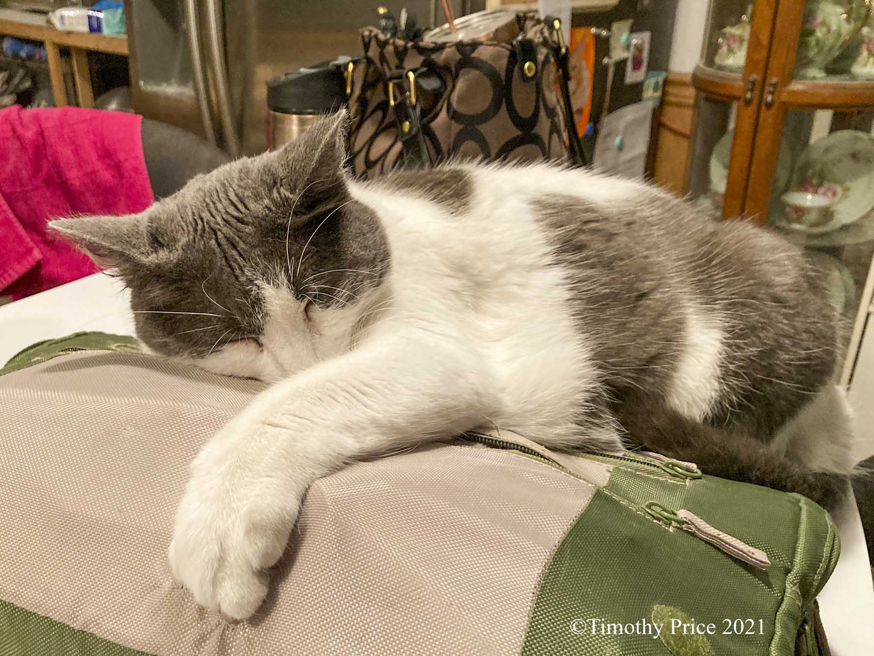 Sasha Sacked Out – Off Center & Not Even