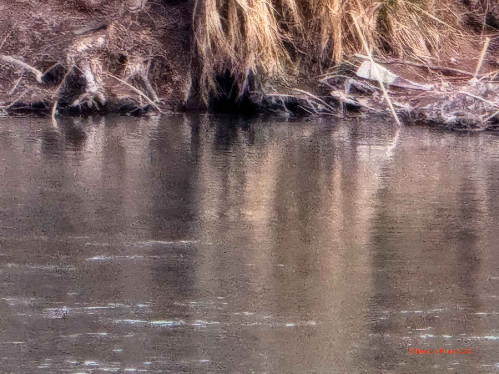 RSSSD – Off Center & Not Even