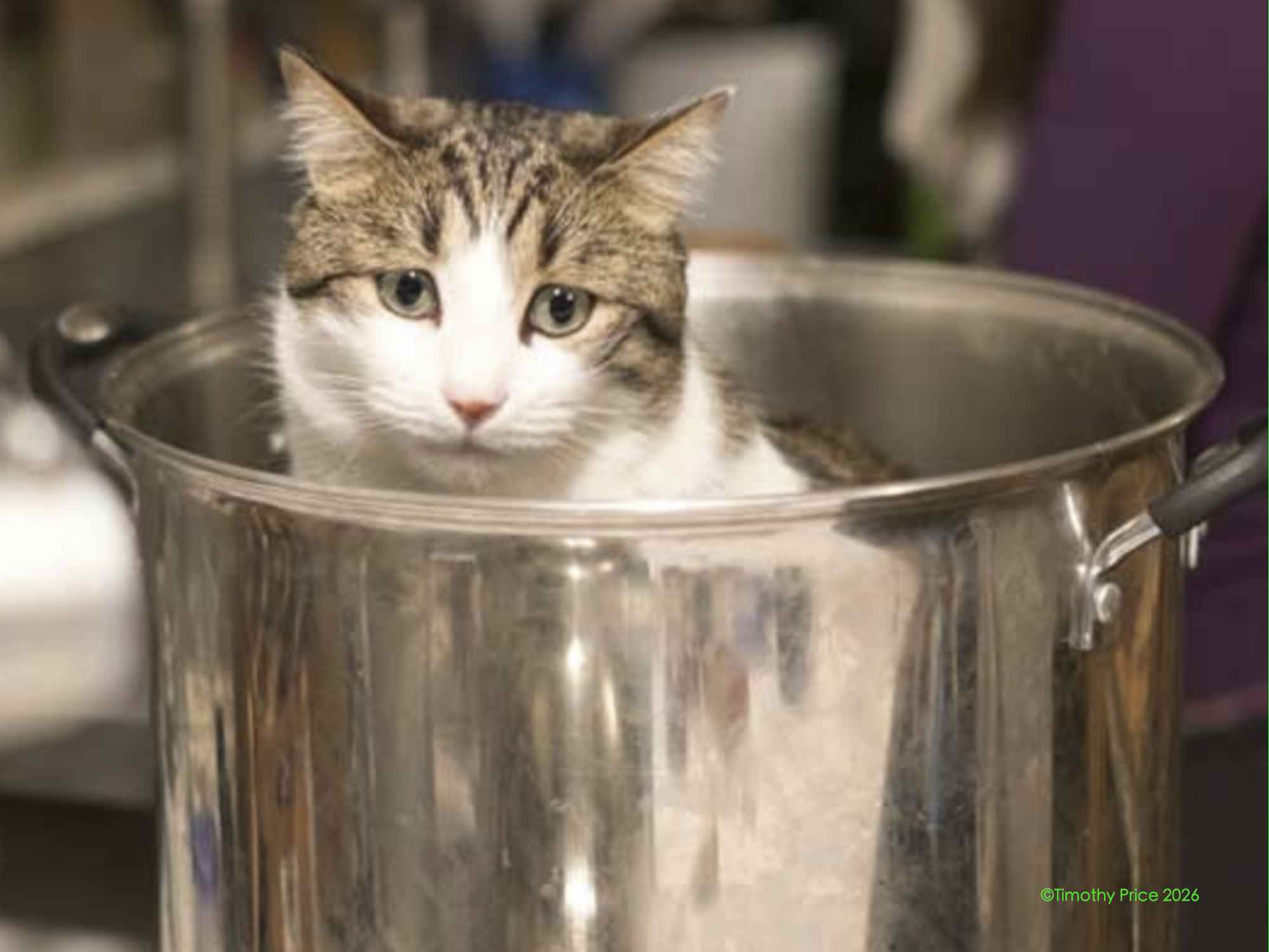 January 2026 – Off Center & Not Even