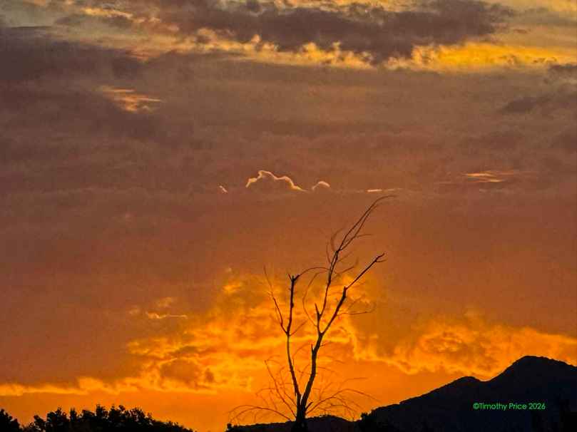 Dynamic Dawn, Dullish Dusk – Off Center & Not Even